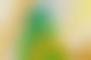 Double Helix Balloon Sculptures : double helix