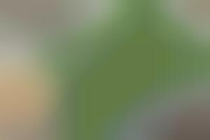 Gangster Dietary Blogs : Thug Kitchen