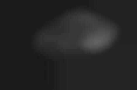 Ladybug Beard Photography : bug photography