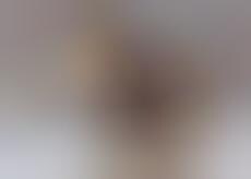 Animal Altering Hybrids : Evolution Gone Wrong