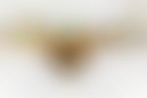 Two-Armed Triangular Shelves : Niko Rotating Planes