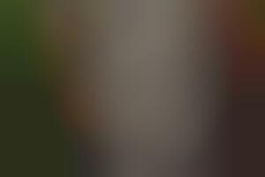 Durable E-Ink Smartphones : E Ink android