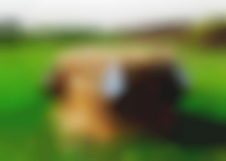 16 Creative Public Bathroom Breakthroughs