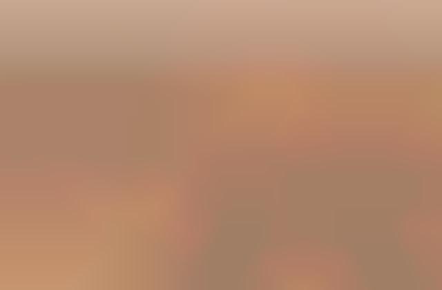 50 Phallic Symbol-Based Products