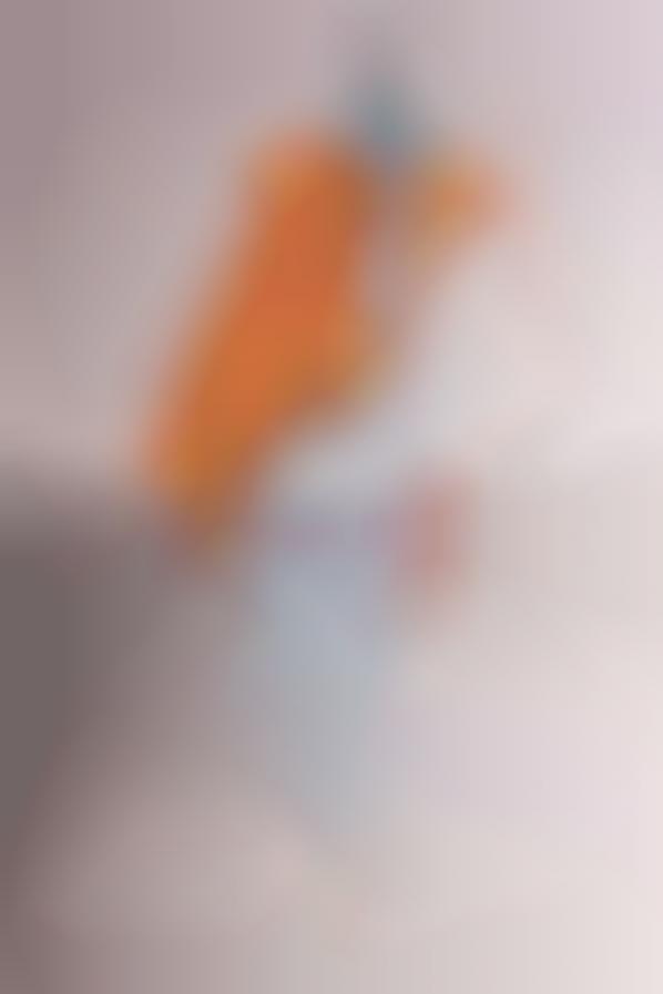 Costume-Hanging Runway Shows : reserva