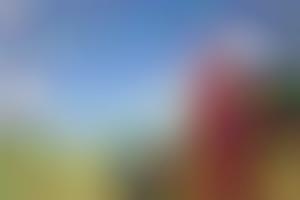 Potable H2O Pods : Wello WaterWheel