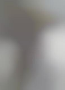 Gilded Critter Sculptures : Animal Statues