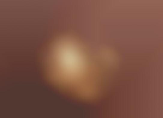 Deceased Creature Jewelry : Kate Gilliland