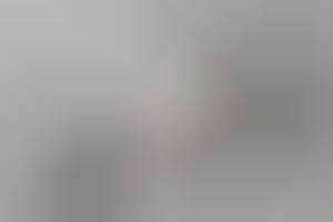 Contemporary Card Stock Jewelry : Lisa Catterson