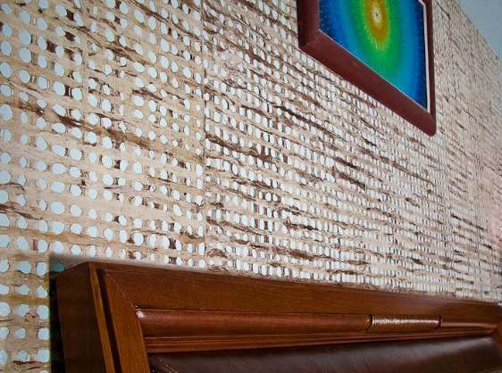 Webbed Wall Skins : Textured Wallpaper