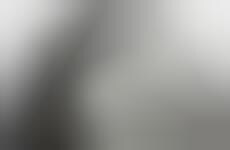 Amusingly Morbid Fly Art : fly art