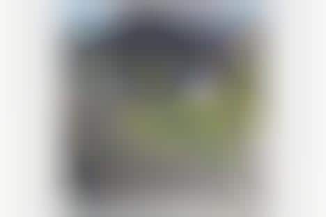 Prison Wall Graffiti Murals : art in prison