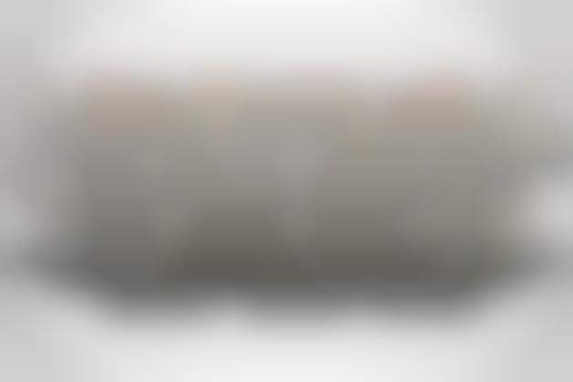 100 Science Fiction Toys