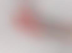 Blood-Covered Clutch Bags : Cleaver Clutch Purses