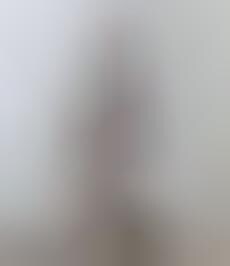 Fancy Metallic Block Toys : silver lego