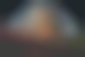 Universe-Merging Collages : Hugo Barros