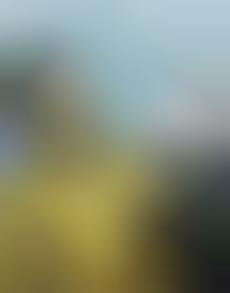 Sitcom-Inspired Portraits : arrested development art