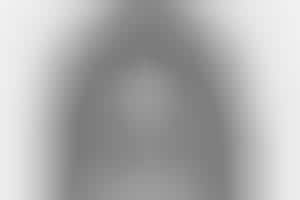 Coiled Ink Celebrity Portraits : Jacob Everett