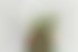 Colorblocked Tillandsia Holder : Air Plant Cube Planter