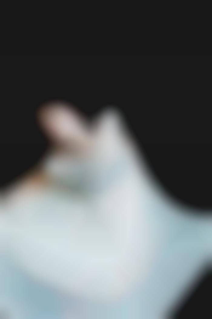 44 Dainty Dancer Photoshoots