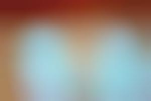 Social Media Bird Bots : Twitter Notificiations