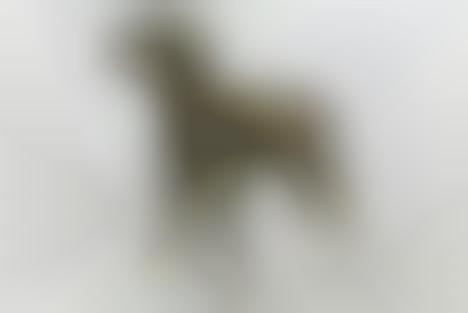 Life-Sized Paper Dogs : Paper dog