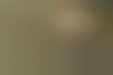 OCD-Enabling Workspaces : neat and tidy desk