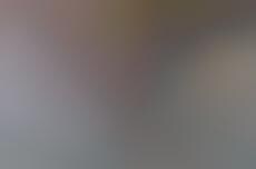 Furry Friends Foot Photography : Alex Beker