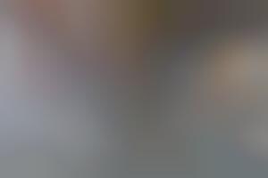 Furry Friends Foot Photography : Alex Beker