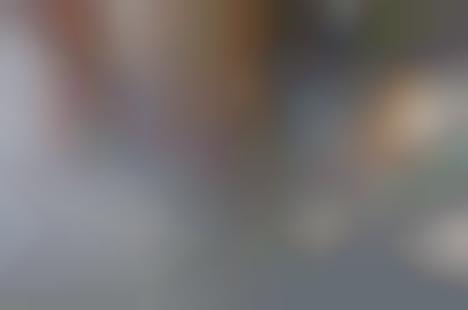 Furry Friends Foot Photography : Alex Beker