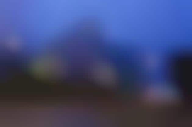 26 Strangely Slanted Structures