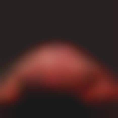 Grotesque Mock Meat Purses : designer brand names