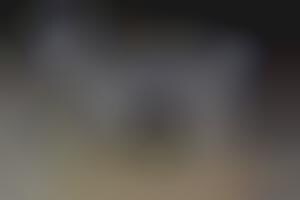 Luxurious Golden Coin Installations : shower of gold coins