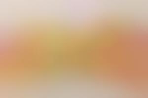 Inchworm Shoes: Grow With Your Feet