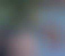 Swiss Mini Gun: World's Smallest Functional Revolver