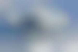 Ubiko: Receptionist Robot for Hire