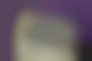 Marketing to Rockstars: PUMA Rockstar Hotel and the Much Music Video ...