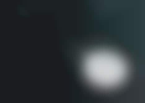 Giving Flies a Chance: Fly Swatter 1:1000