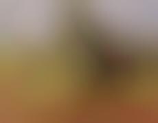 Musical Weapons: Wickedly Cool Instruments