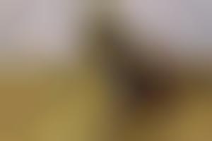 Musical Weapons: Wickedly Cool Instruments