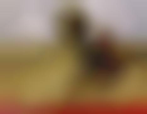 Musical Weapons: Wickedly Cool Instruments