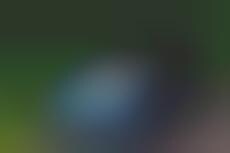 11 Solar Panel Vehicles: From Toyota Prius to DIY Cars