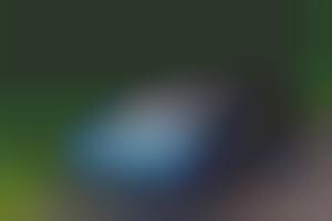 11 Solar Panel Vehicles: From Toyota Prius to DIY Cars