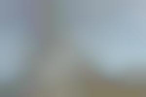 Home-Inspired Boutiques : James Perse Toronto