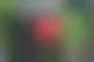 Trashed Body Installations : Down in the Dumps