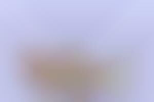 Crafty Paper Critter Sculptures : animal life