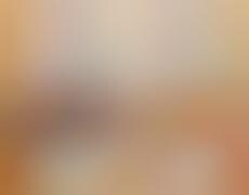 Biscuit-Infused Java Tasters : Girl Scout Cookie