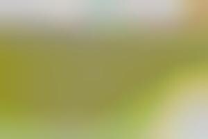 Gamified Donation Platforms : Repair the Rockaways