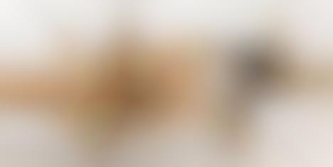 Bizarre Morphed Dog Photography : dogfighters