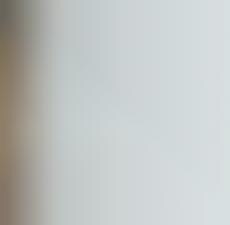 Eco Insect-Inspired Illustrations : Insect Design